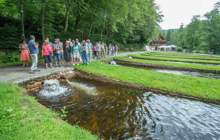Schau mal wo du lebst ... bei Fischzucht Zordel im Eyachtal ...