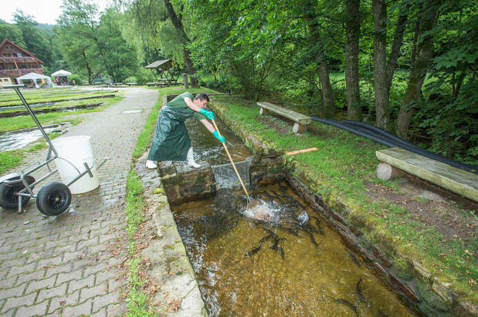 Schau mal wo du lebst ... bei Fischzucht Zordel im Eyachtal ...