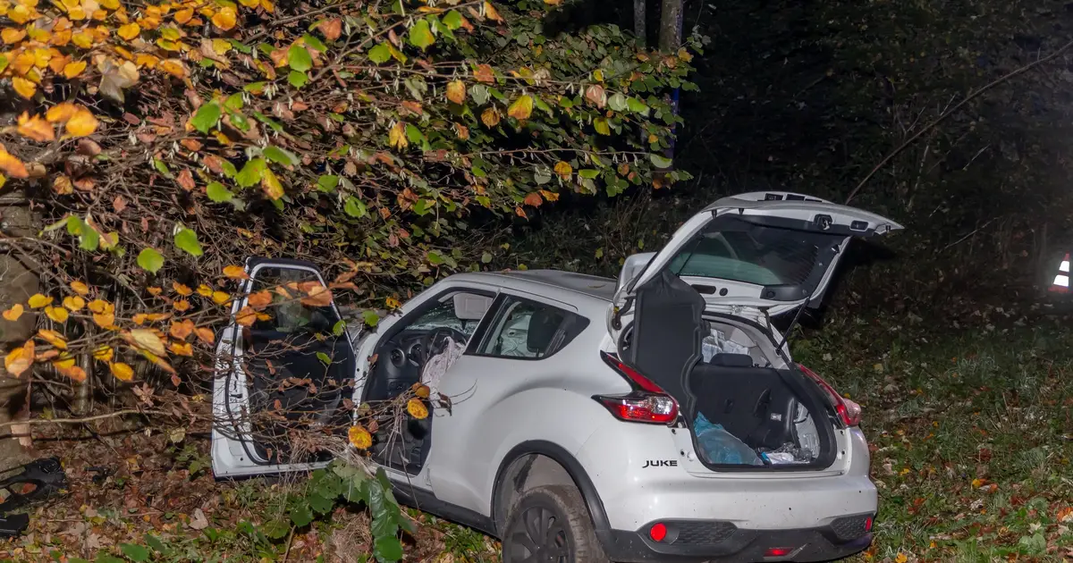 Auto prallt gegen Baum - Fahrer schwer verletzt - Bildergalerie - Pforzheimer-Zeitung