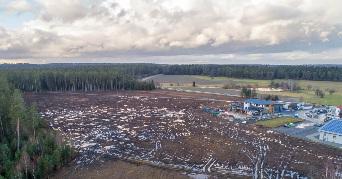 Gerodeter Wald zeigt Größe der künftigen Gewerbeflächen in Neuhausen ...