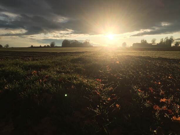 Endlich Sommer: Das sind die schönsten Sommerbilder der PZ-User - Teil ...