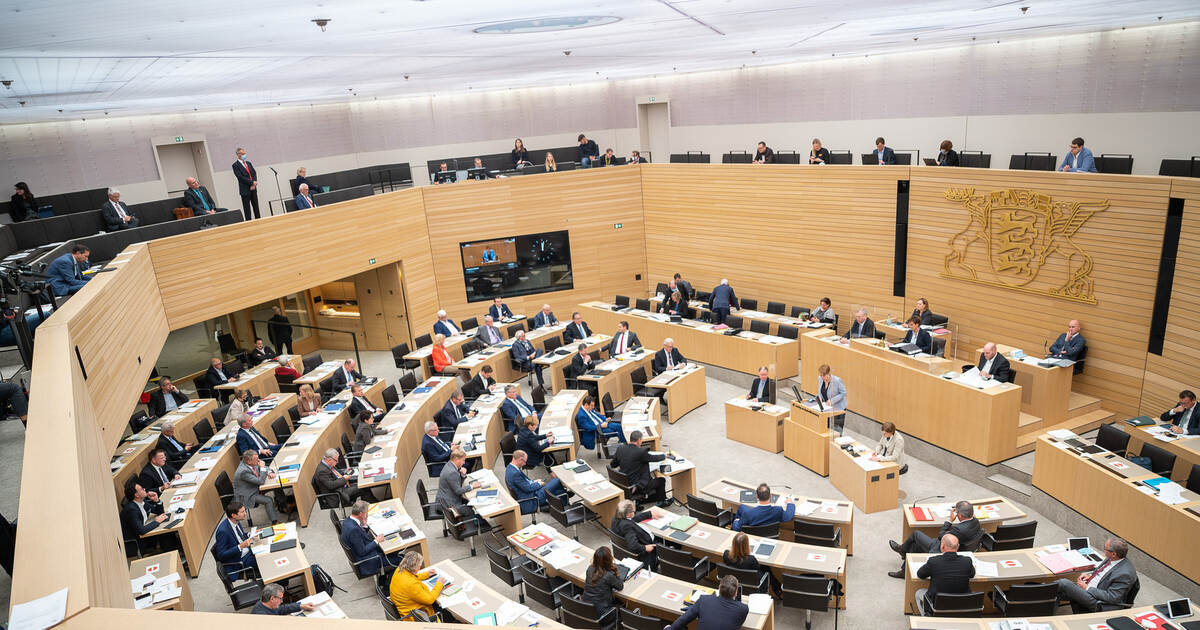 Baden-württembergischer Landtag erhält zweiten Vizepräsidenten: SPD ...