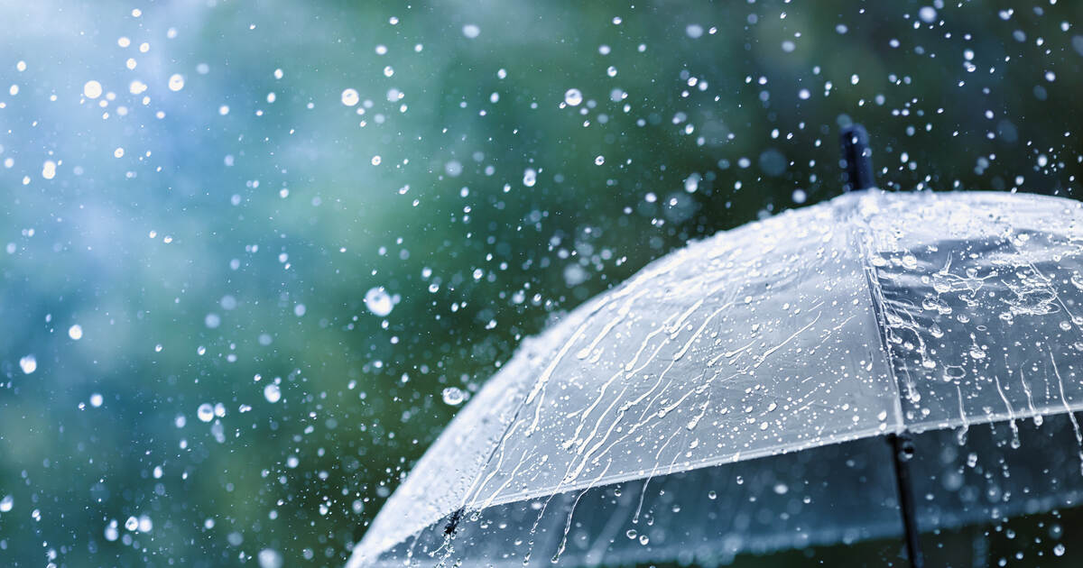 Regnerisch und trüb: So wird das Wetter am Mittwoch in Pforzheim und ...