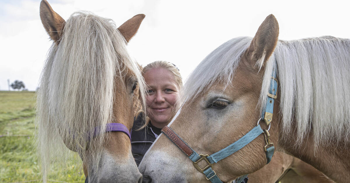 Reiten wie im wilden Westen: Dreifache Europameisterin kommt aus ...