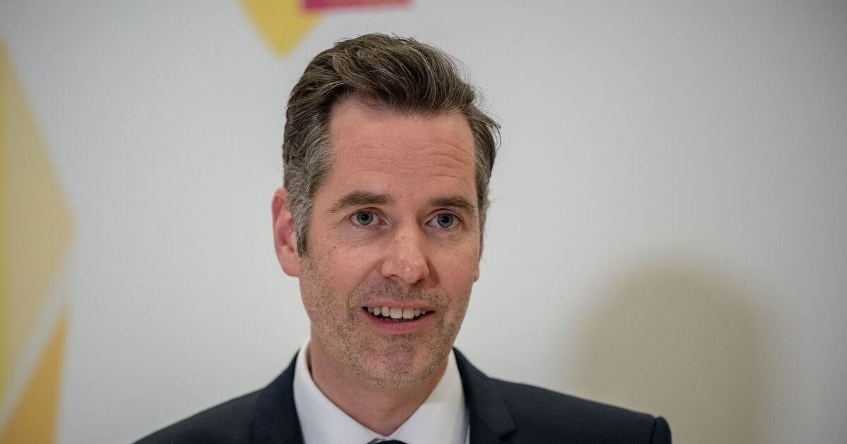 FDP-Fraktionschef Dürr: Mehr Migration in den Arbeitsmarkt ...