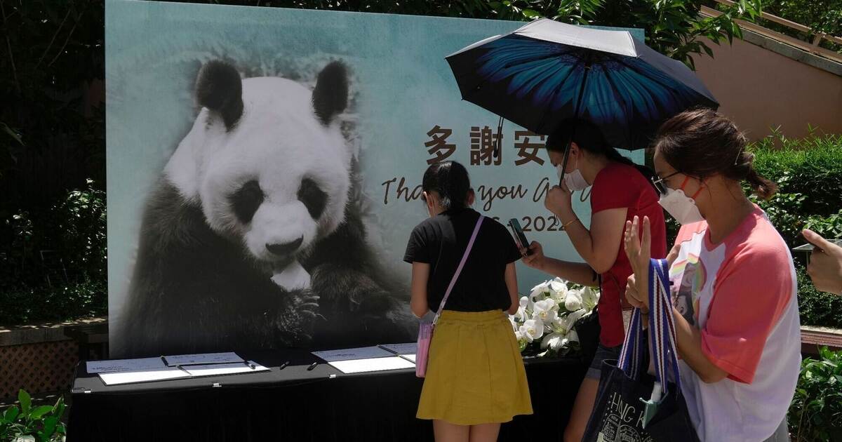 Hongkonger Panda An An im Alter von 35 Jahren gestorben - PZ-news.de ...