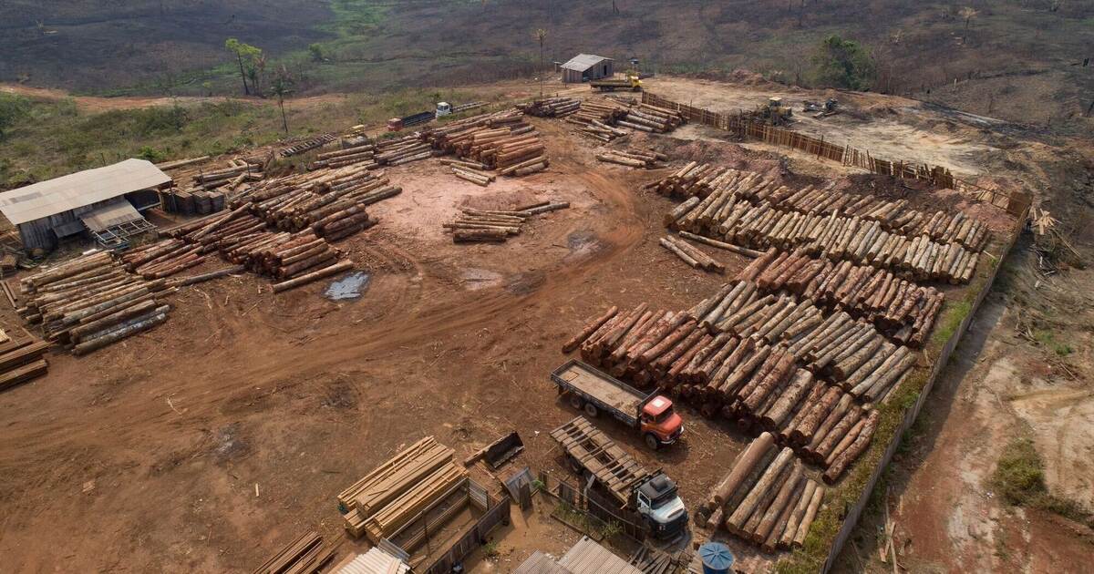 Verfügbare natürliche Ressourcen für 2022 verbraucht - Deutschland und ...