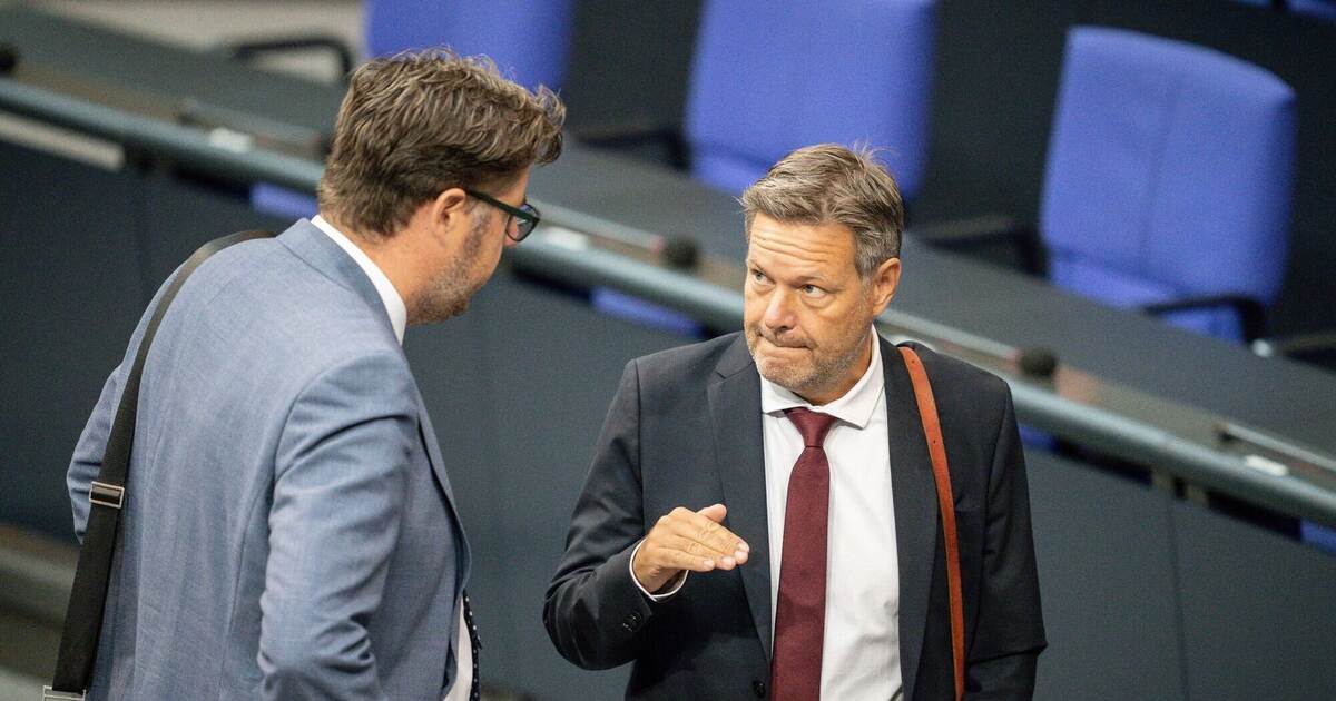 Jeder Zweite ist unzufrieden mit Wirtschaftsminister Habeck - Politik - Pforzheimer-Zeitung