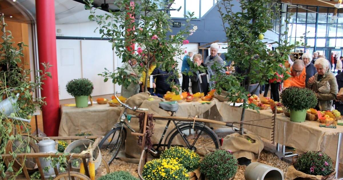 Herbstfest des OGV in Wilferdingen zeigt: In Krisenzeiten zählt der ...