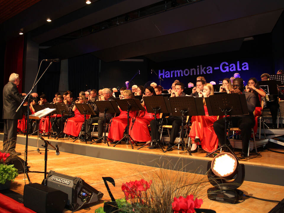 Knittlinger Mundharmonika-Orchester erfreut 700 Gäste - Region ...