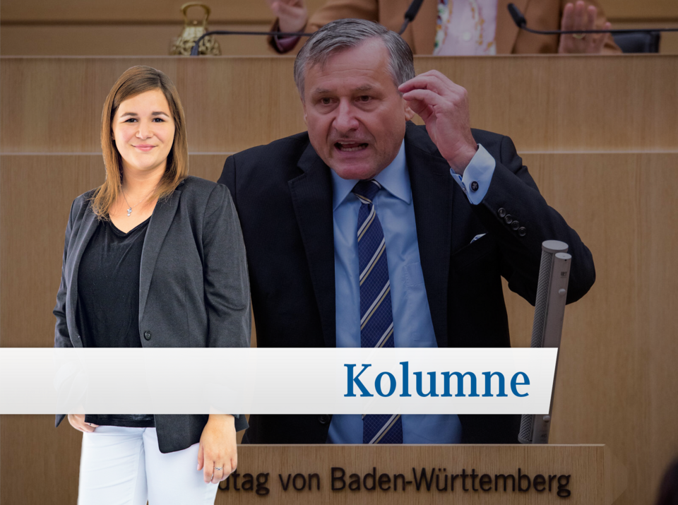 Rülke, Strobl, Gögel: Warum die Landespolitik derzeit an einen endlosen ...