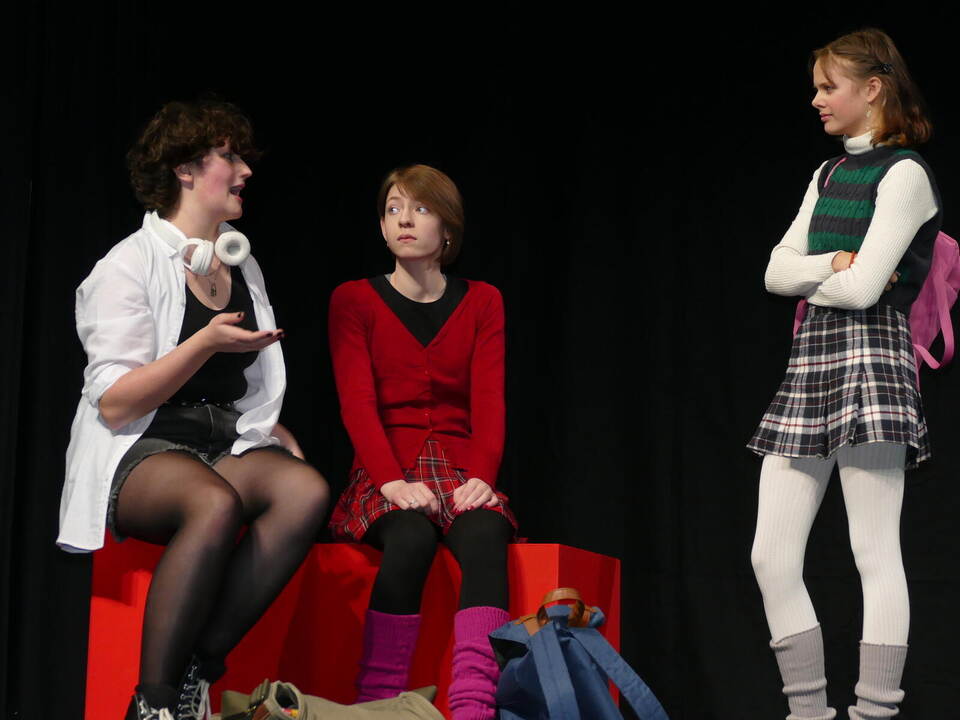 „Mädchenspektakel“ stemmt sich kreativ gegen Rosa-Grenzen - Region ...