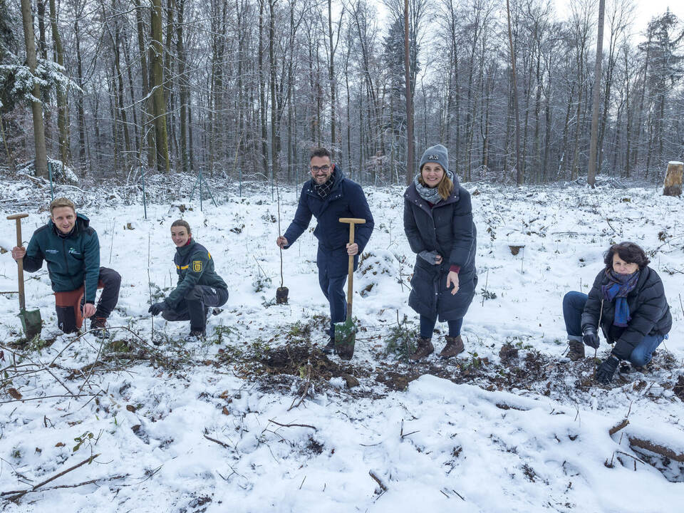 „Ein Kind, ein Baum“: 1500 Neupflanzungen in Pforzheim zu Ehren der ...