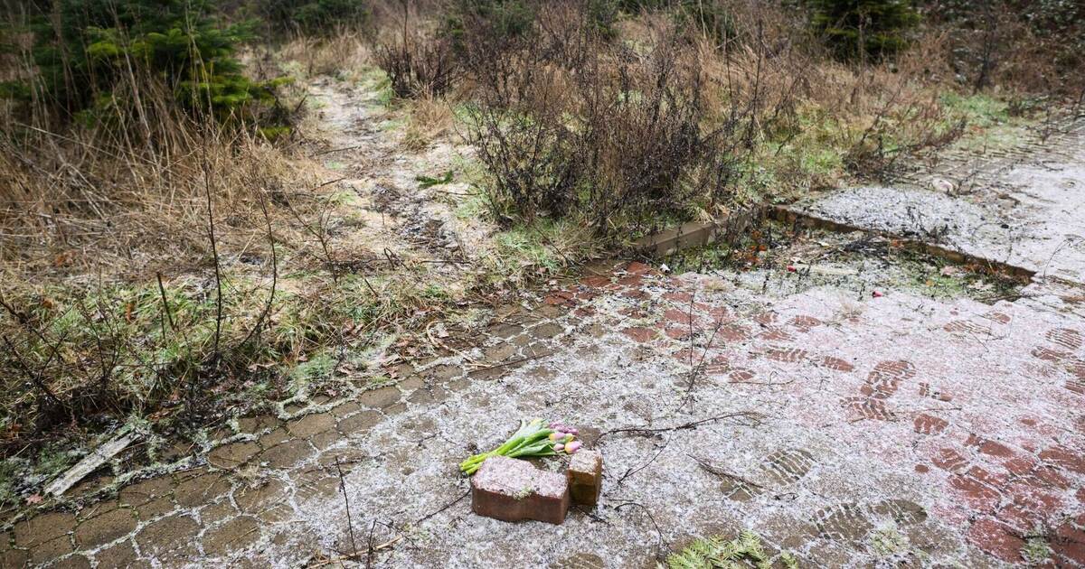 Stumpfe Gewalt ist Ursache für Tod des 14-Jährigen - Deutschland und ...