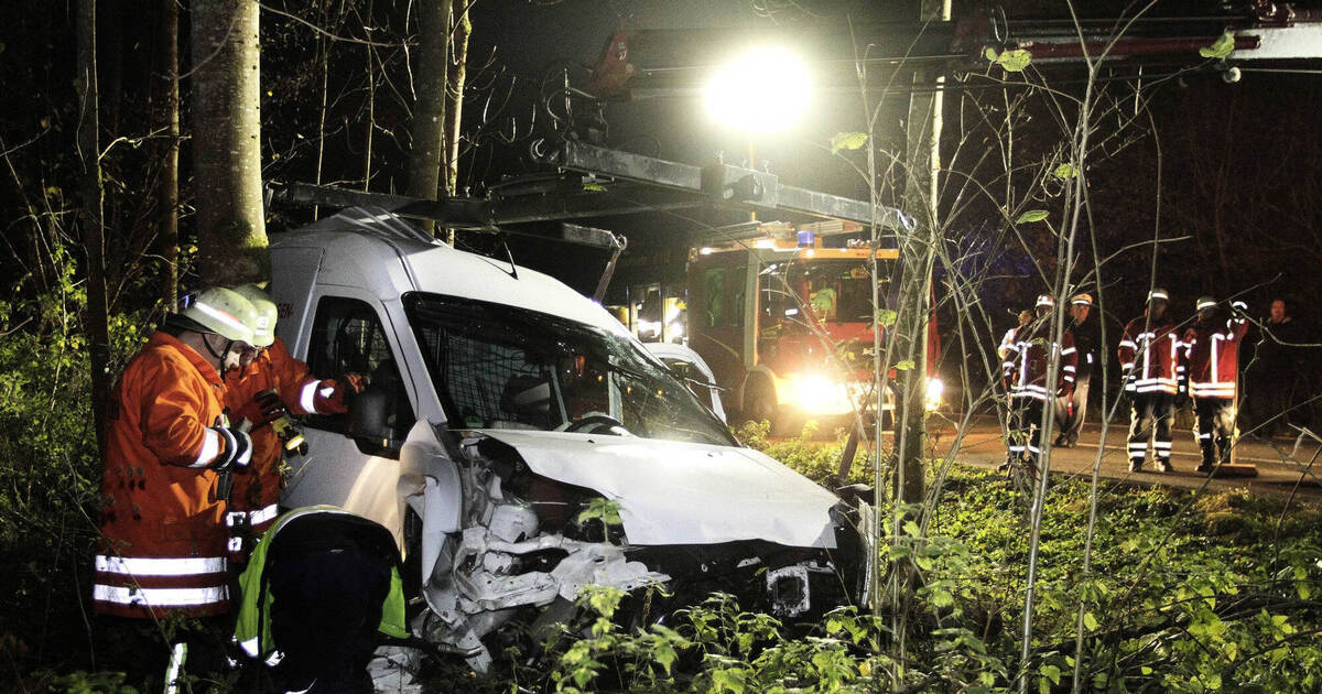 Schwerer Unfall: Autofahrer prallt gegen Baum - Region - Pforzheimer-Zeitung