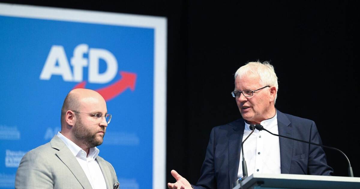 Protest gegen AfD-Parteitag in Offenburg - Baden-Württemberg ...