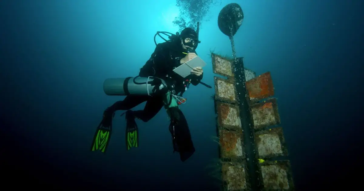 Wissenschaft und Wirtschaft forschen zu abbaubarem Plastik - Baden-Württemberg - Pforzheimer-Zeitung