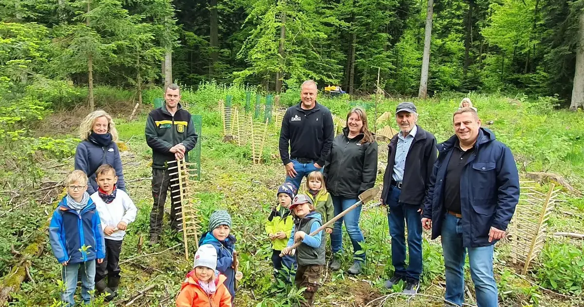 Als Zeichen der Verbundenheit: 75 Eichen in Engelsbrand gepflanzt - Region - Pforzheimer-Zeitung