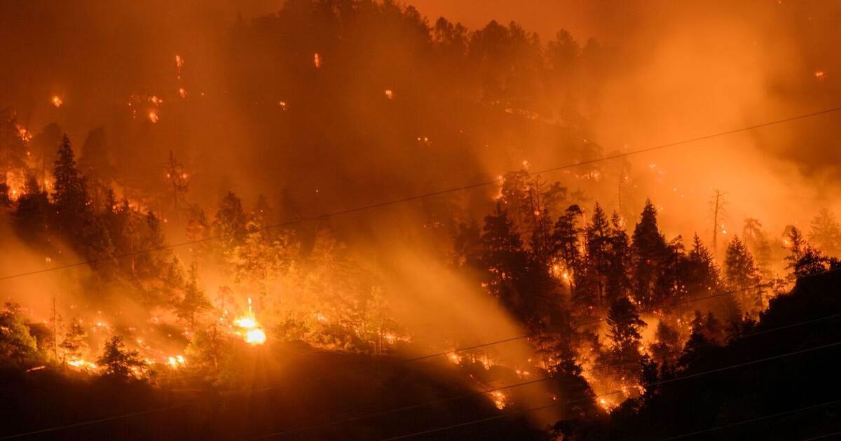 Extreme Trockenheit begünstigt Waldbrand in der Schweiz - Deutschland ...