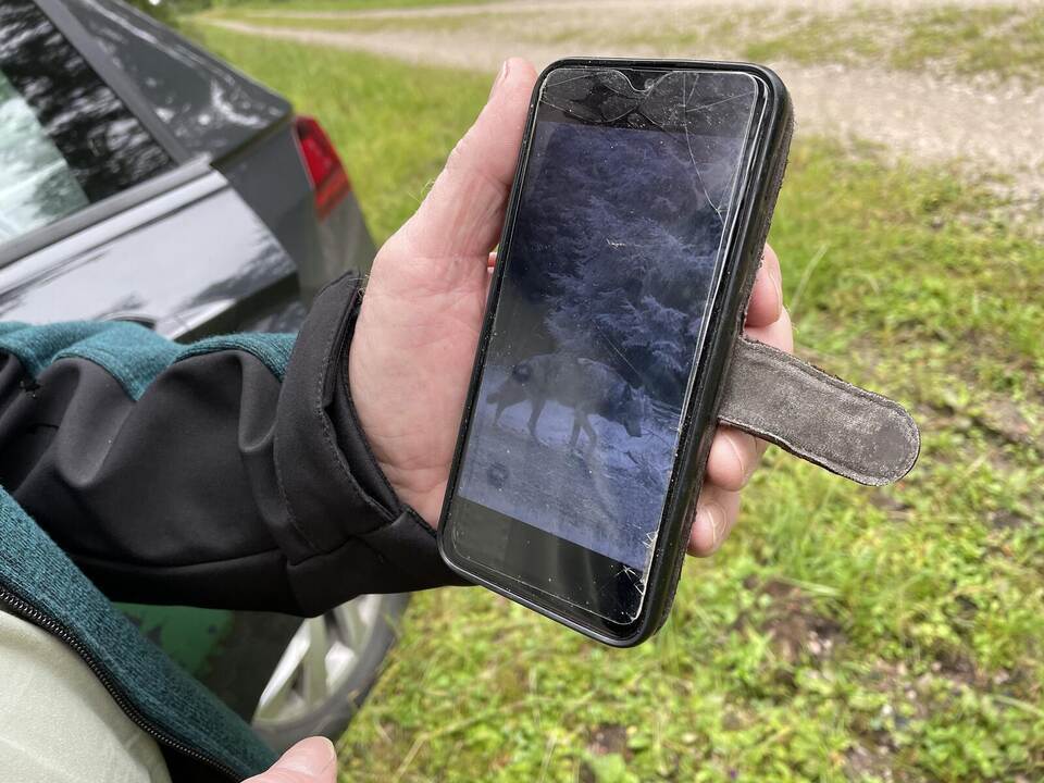 Der mit dem Wolf lebt: Auf Spurensuche im Wolfsrevier - Region ...