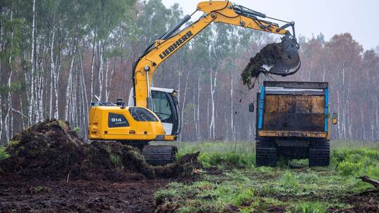 Noch unverzichtbar: Garten- und Gemüsebau brauchen Torf - Wirtschaft ...