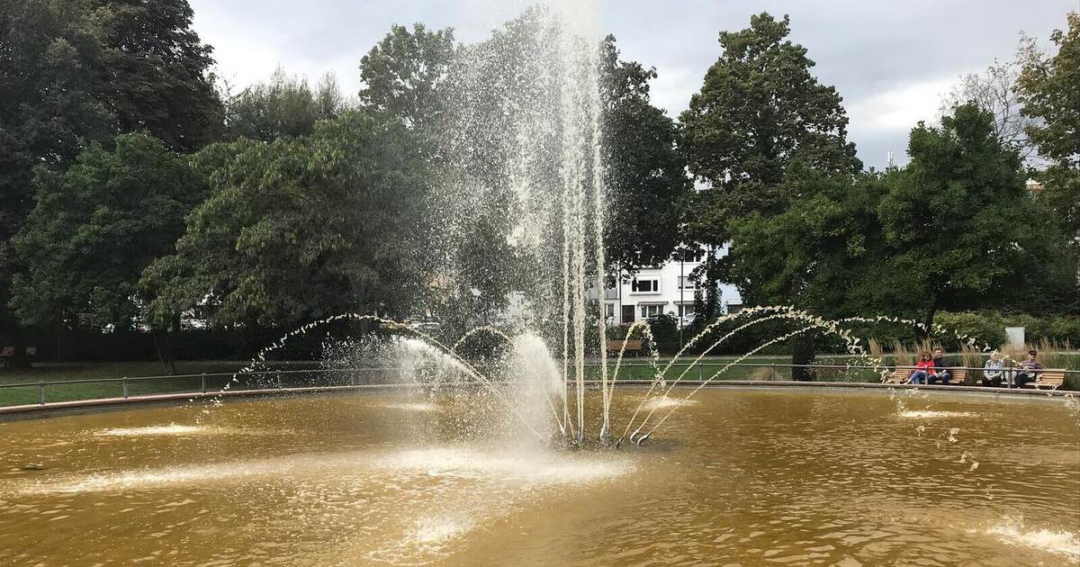 PZ-Leser fragen: „Warum ist im Stadtgarten-Brunnen das Wasser so ...