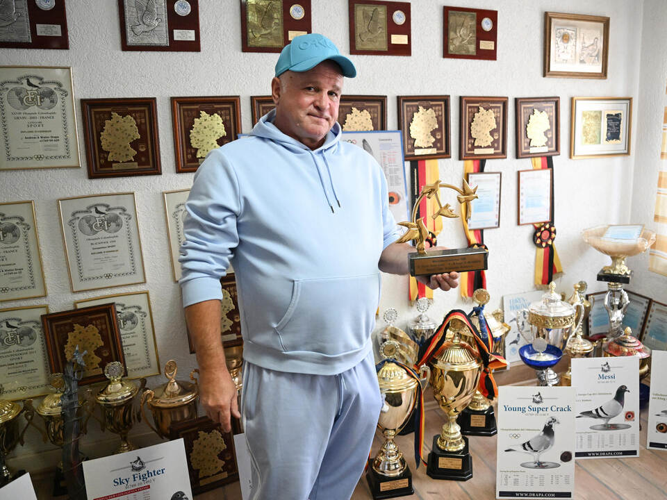 Angebote in Millionenhöhe: Renntauben aus Königsbach weltweit begehrt ...