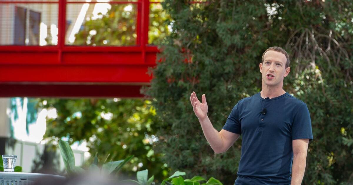 Macadamianüsse und Bier als Futter: Zuckerberg löst mit Rinderzucht auf ...