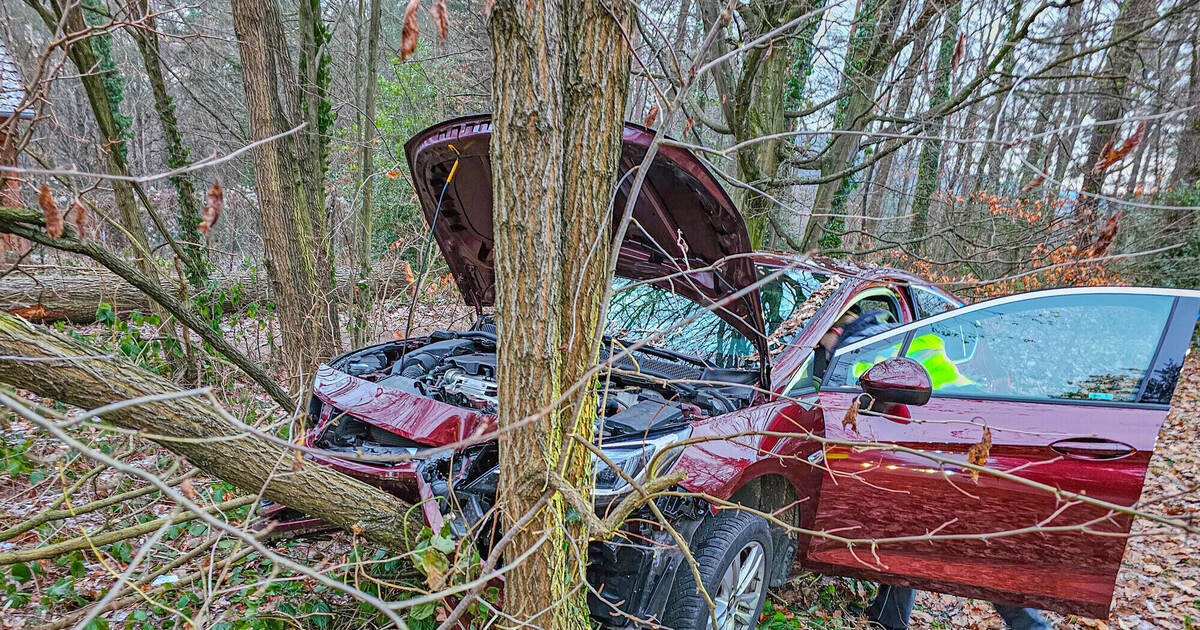 Baumcrash bei Pforzheim: Opel-Fahrerin alkoholisiert gegen Baum geprallt - Pforzheim ...