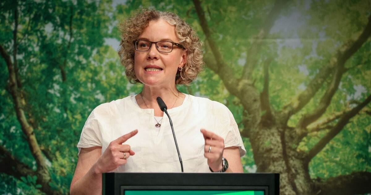 Grüne kritisieren Verschiebung von Klimageld - Politik - Pforzheimer ...