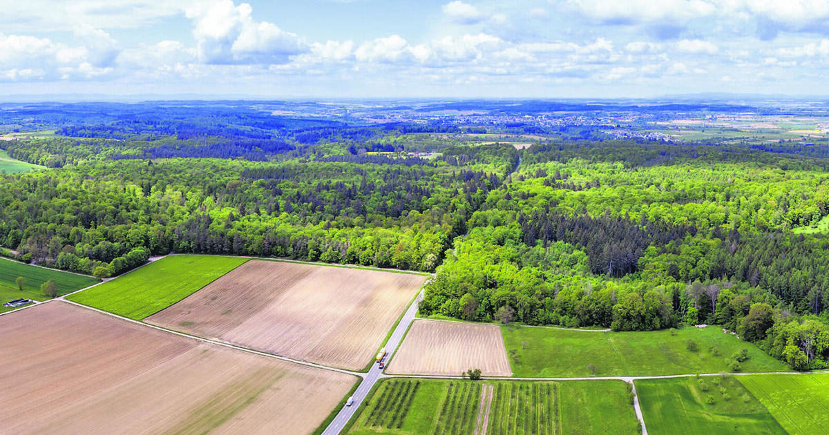 Sorge vor Windrädern treibt die Neulinger Bürger um - Region ...
