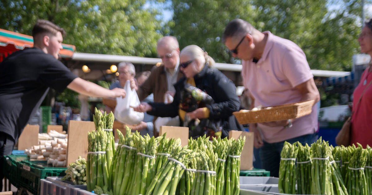 Für den guten Zweck: Erdbeer- und Spargelfest auf dem Pforzheimer ...
