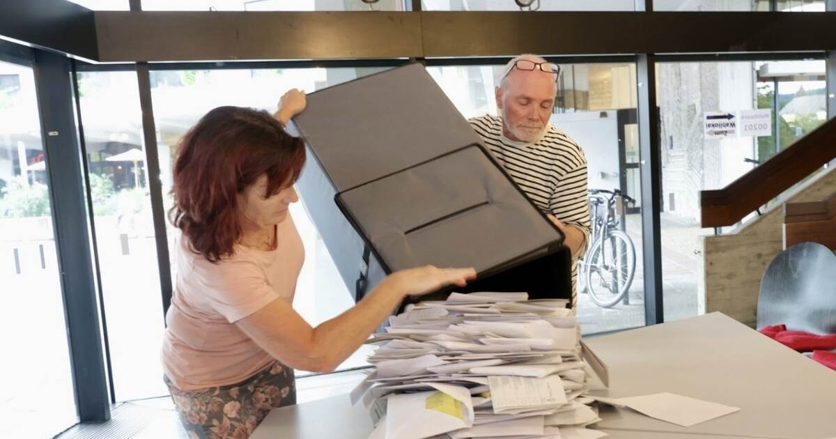 Liveticker zur Europa- und Kommunalwahl: AfD in Pforzheim und Enzkreis ...
