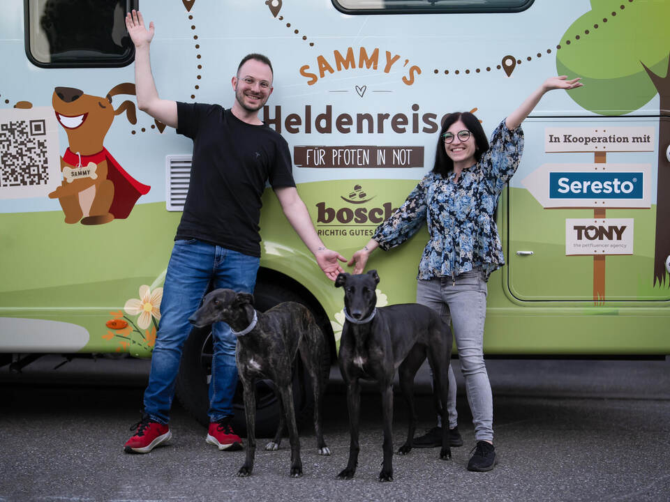 Im Dauereinsatz in Spanien: Mühlacker Influencerin kämpft für Galgo ...
