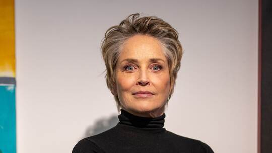 Sharon Stone über Schlaganfall: «Wurde ausgenutzt» - Show-Biz ...