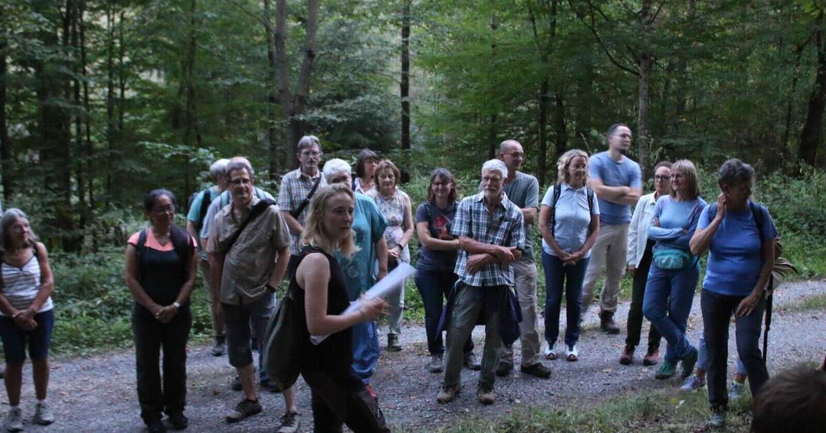 Bei Nacht im Wald sind alle Sinne gefragt: Försterin Sarah Zwerenz ...