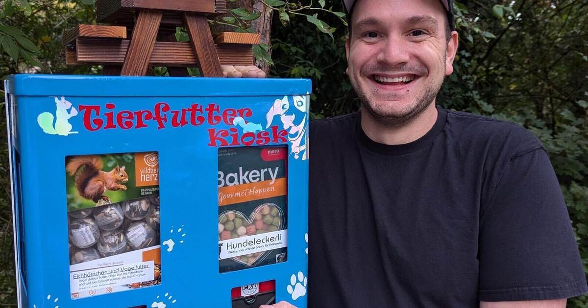 Putziger Rastplatz für Eichhörnchen: Das hat es mit dem Tierfutter ...