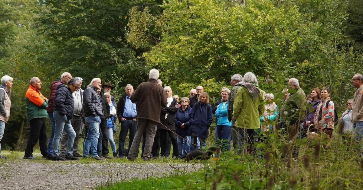 In großer Sorge um den Wald: BI macht in Birkenfeld gegen Windkraft ...