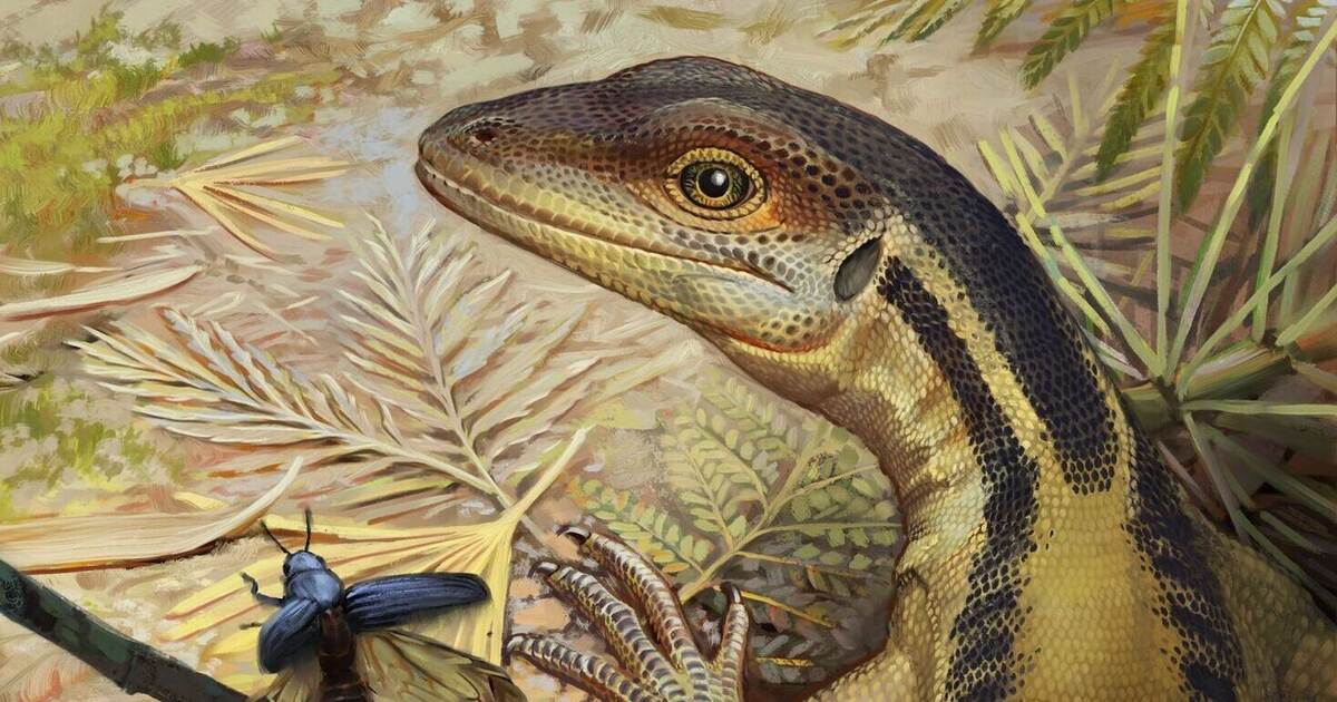 Schon Vorfahren heutiger Reptilien konnten gut hören - Baden ...