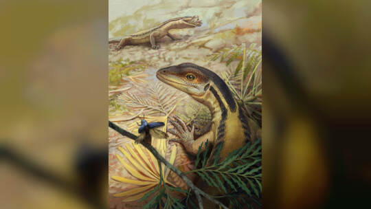 Schon Vorfahren heutiger Reptilien konnten gut hören - Baden ...