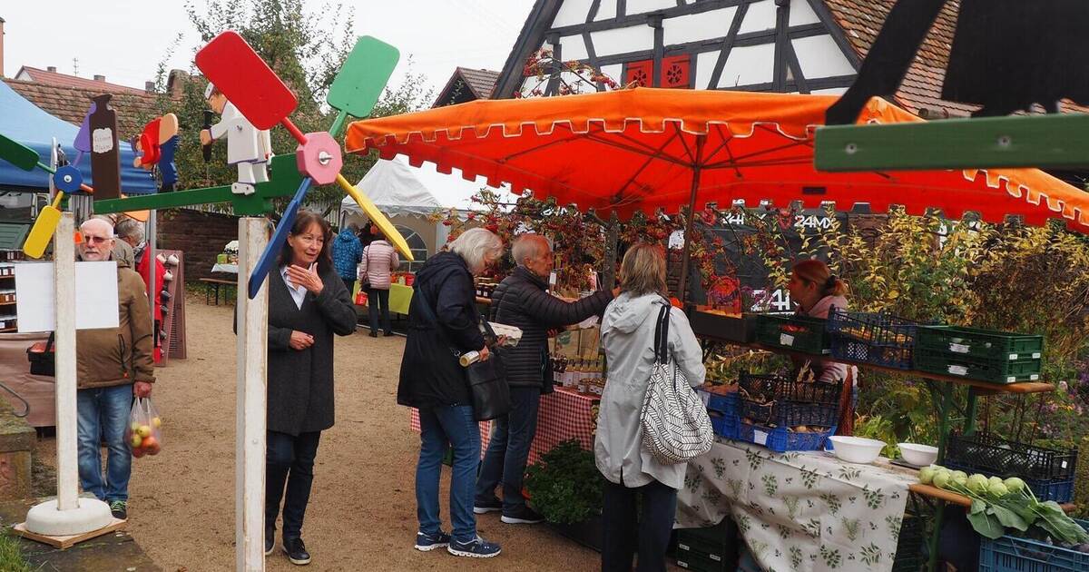 Bauernmarkt in Neuhausen: Selbstgemachte Nudeln, Schmuck und ...